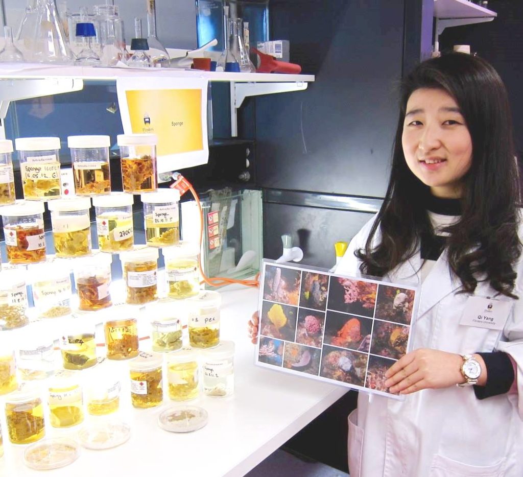 How to ID a sea sponge – News