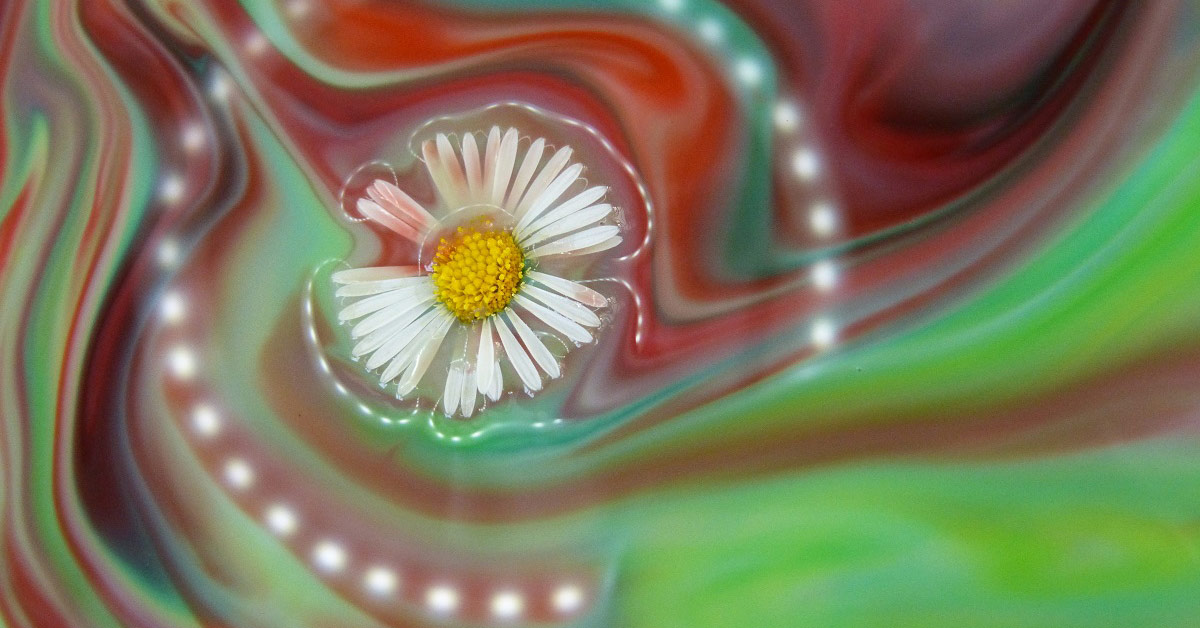 Winners shine in female student science photo contest – News