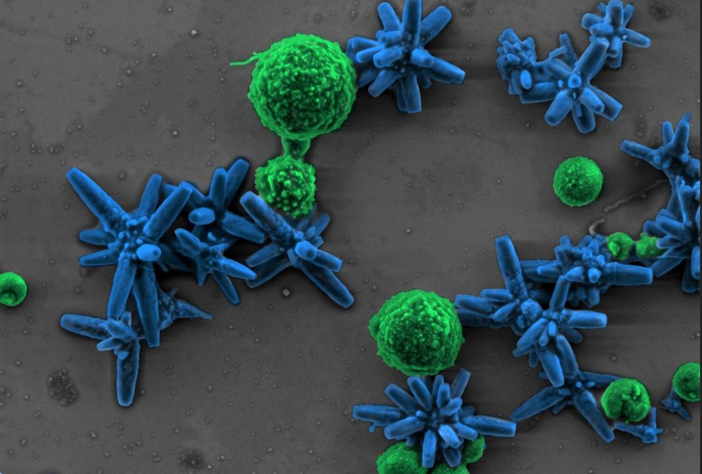 Step inside the world of nano - and vote 1 – News