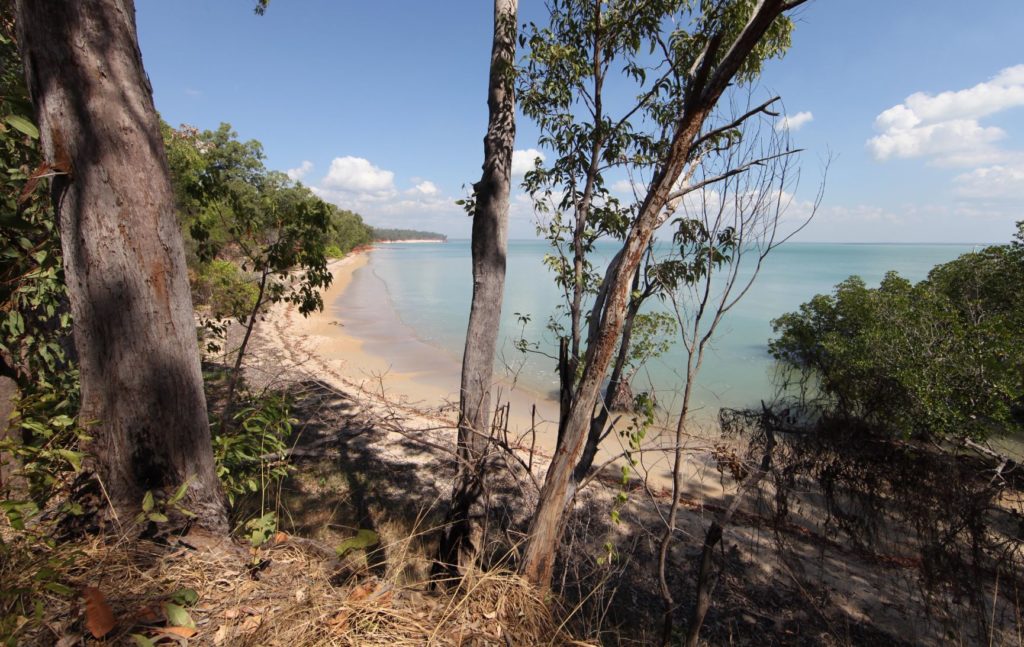 Tiwi Islands – News