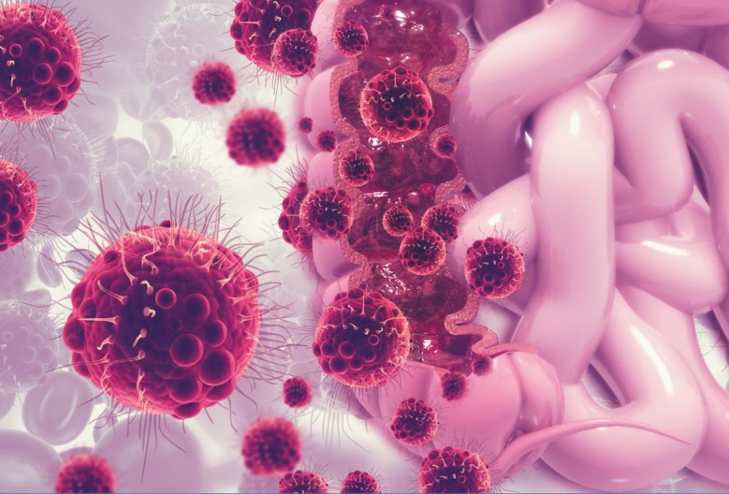 Cell networks map new cancer pathways – News