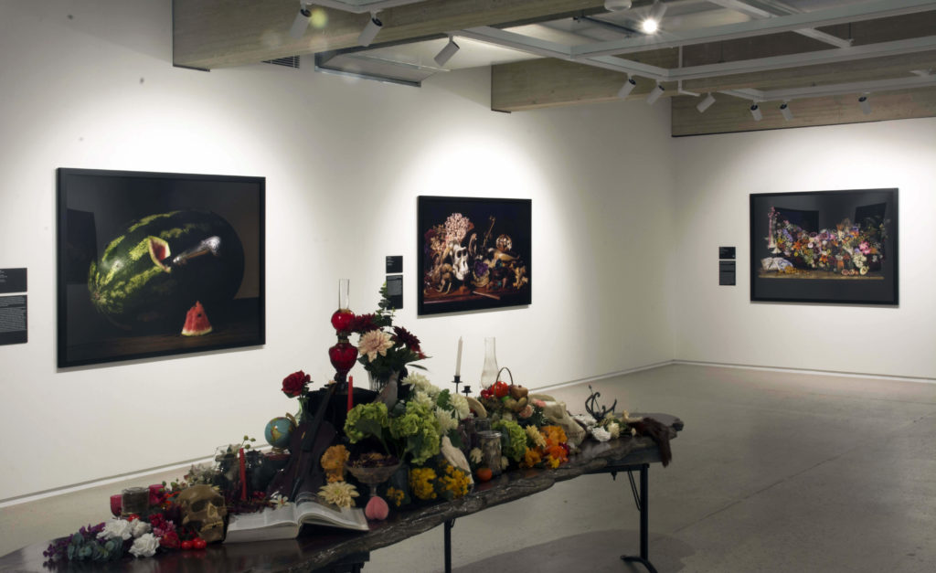 Robyn Stacey Installation View – News