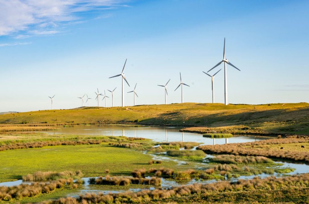 Why SA is a renewable energy powerhouse – News