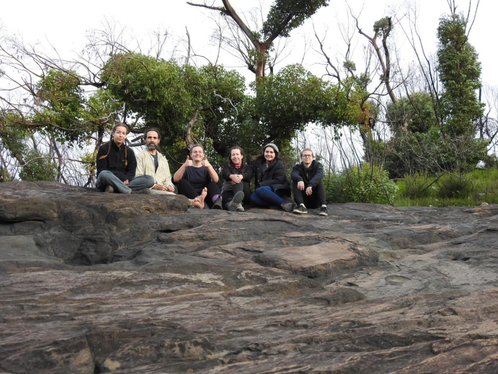 Platypuses fight back after bushfires – News