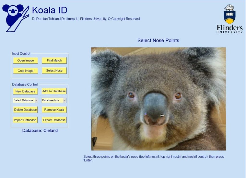 Recognition for Save the Koala projects – News