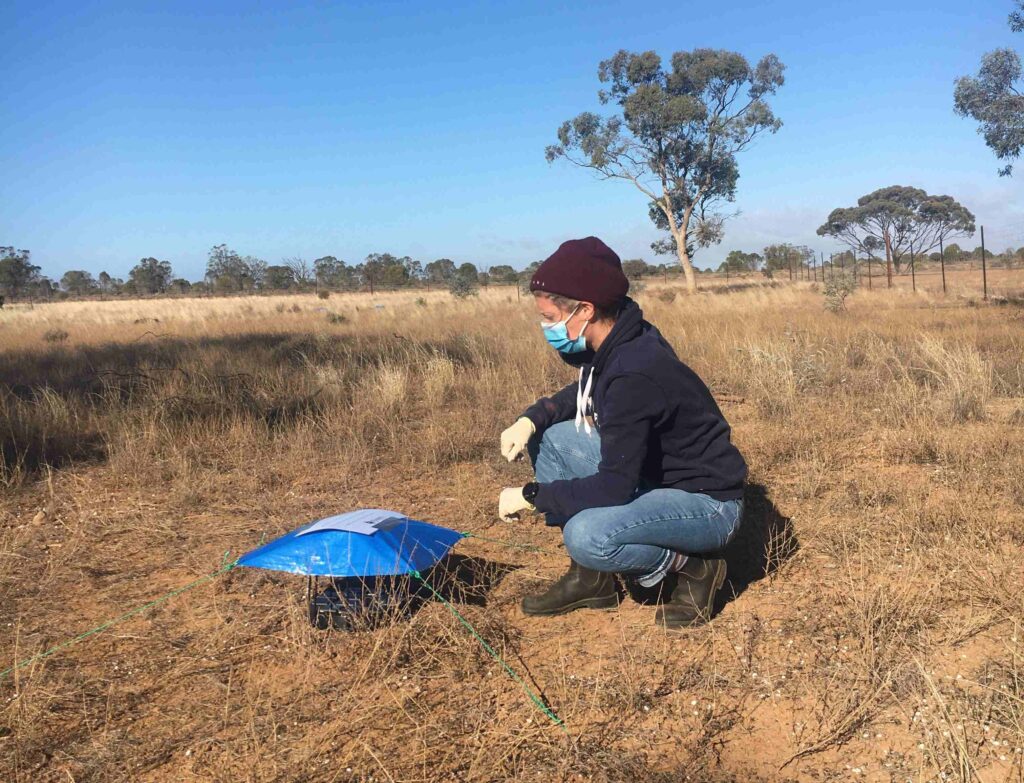 Using dust to bust crime – News