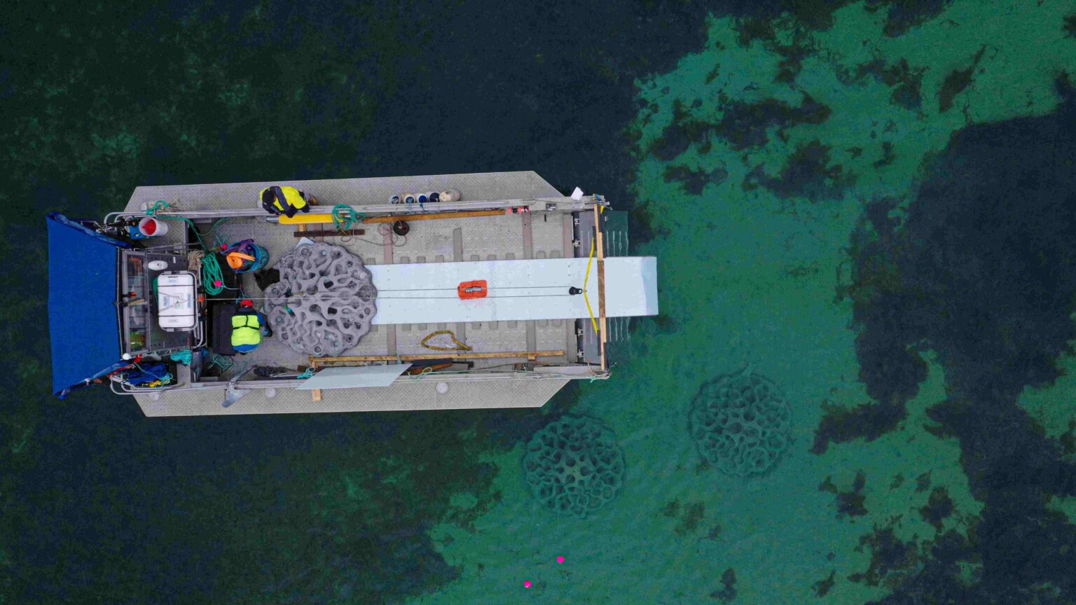 Kangaroo Island bushfire recovery hits the water – News