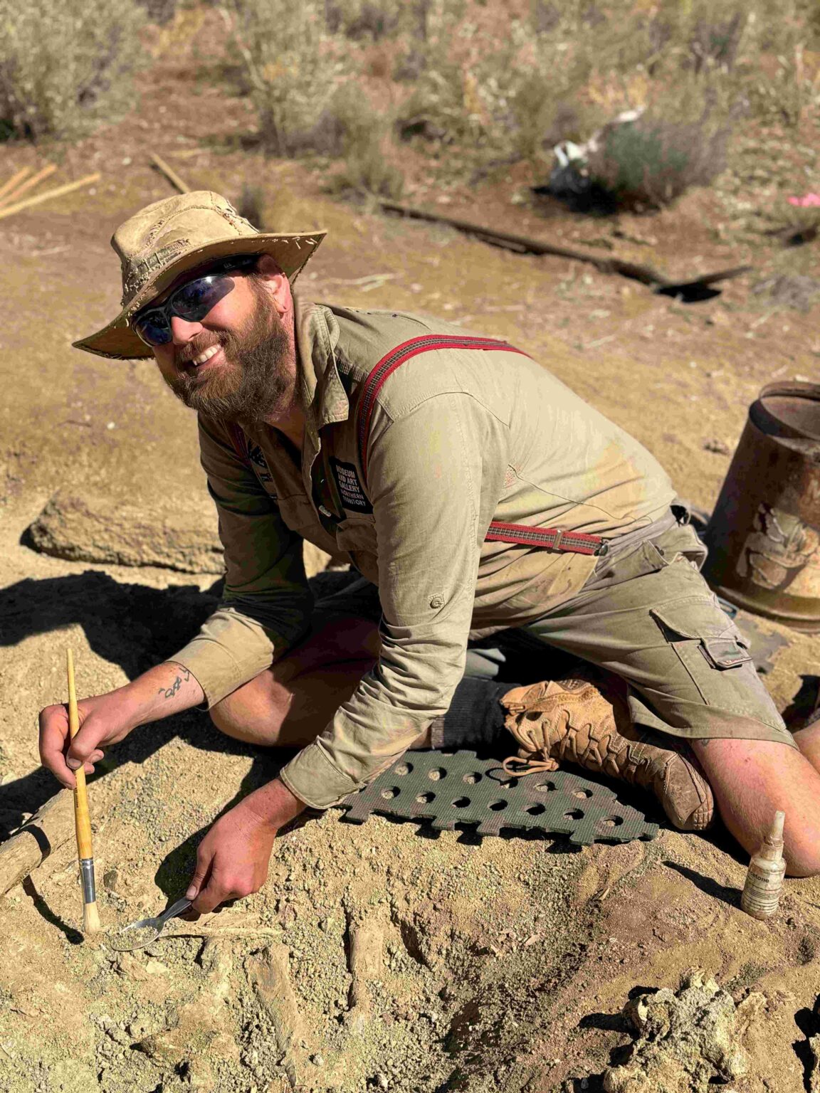 Varied diet helped kangaroo survival – News