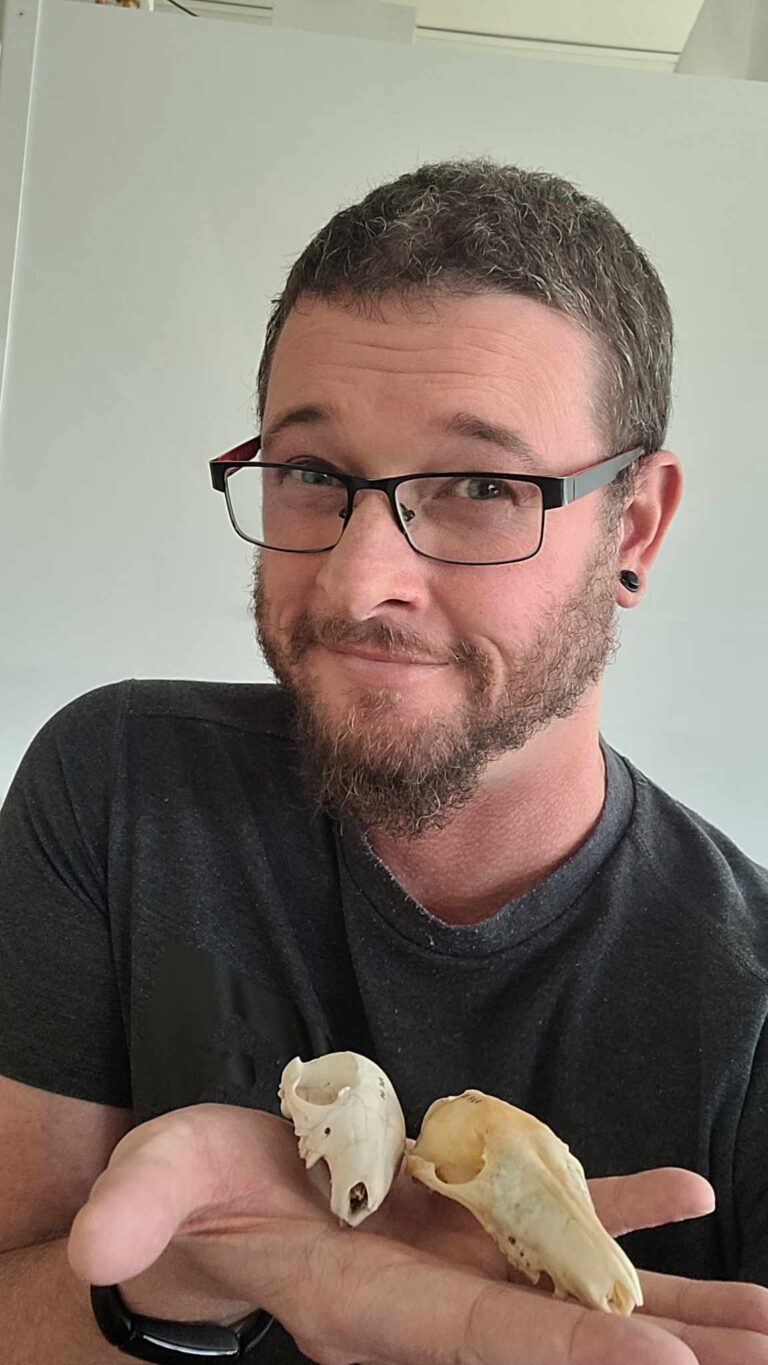 Bite-size clue to a lost marsupial – News